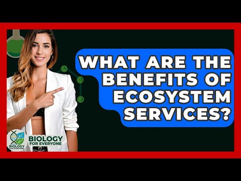 What Are The Benefits Of Ecosystem Services? - Biology For Everyone