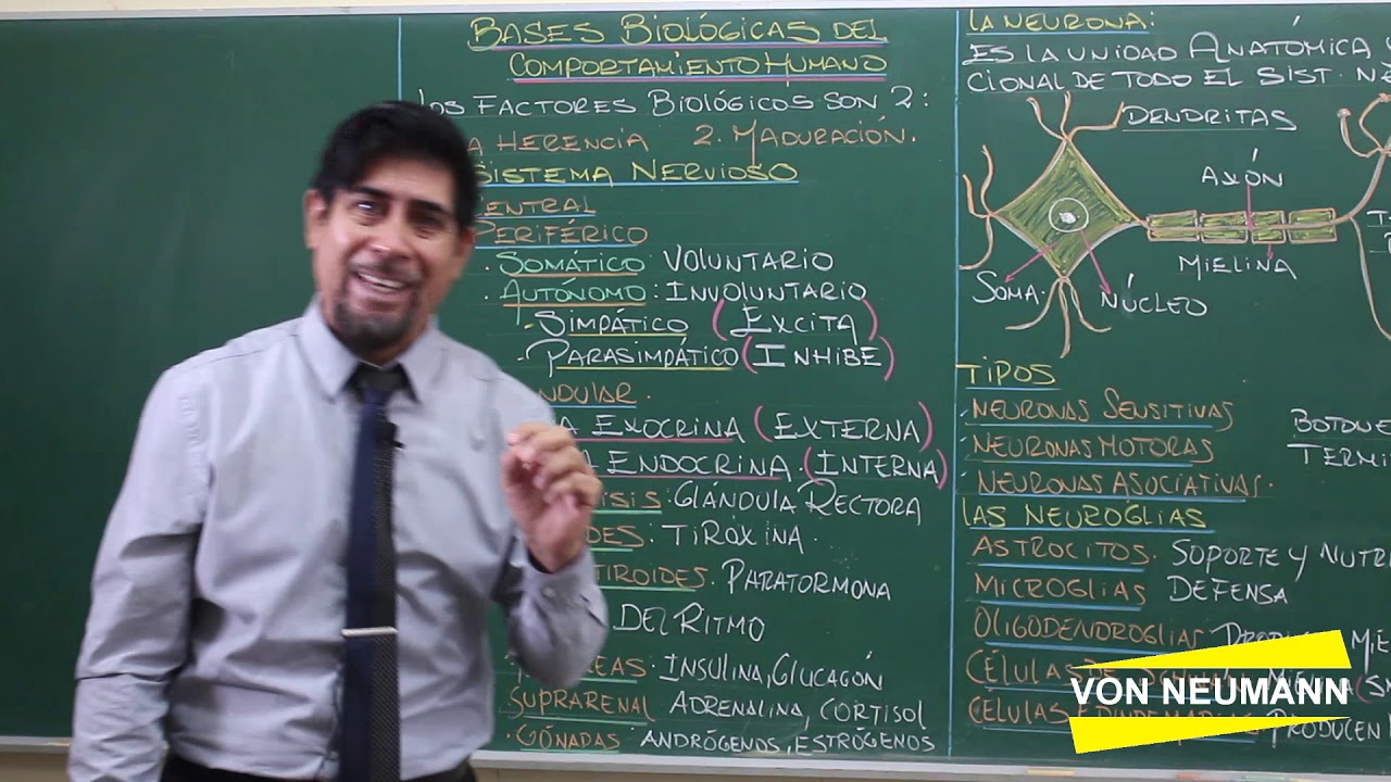 Bases biológicas del comportamiento humano - Parte 1 de 3