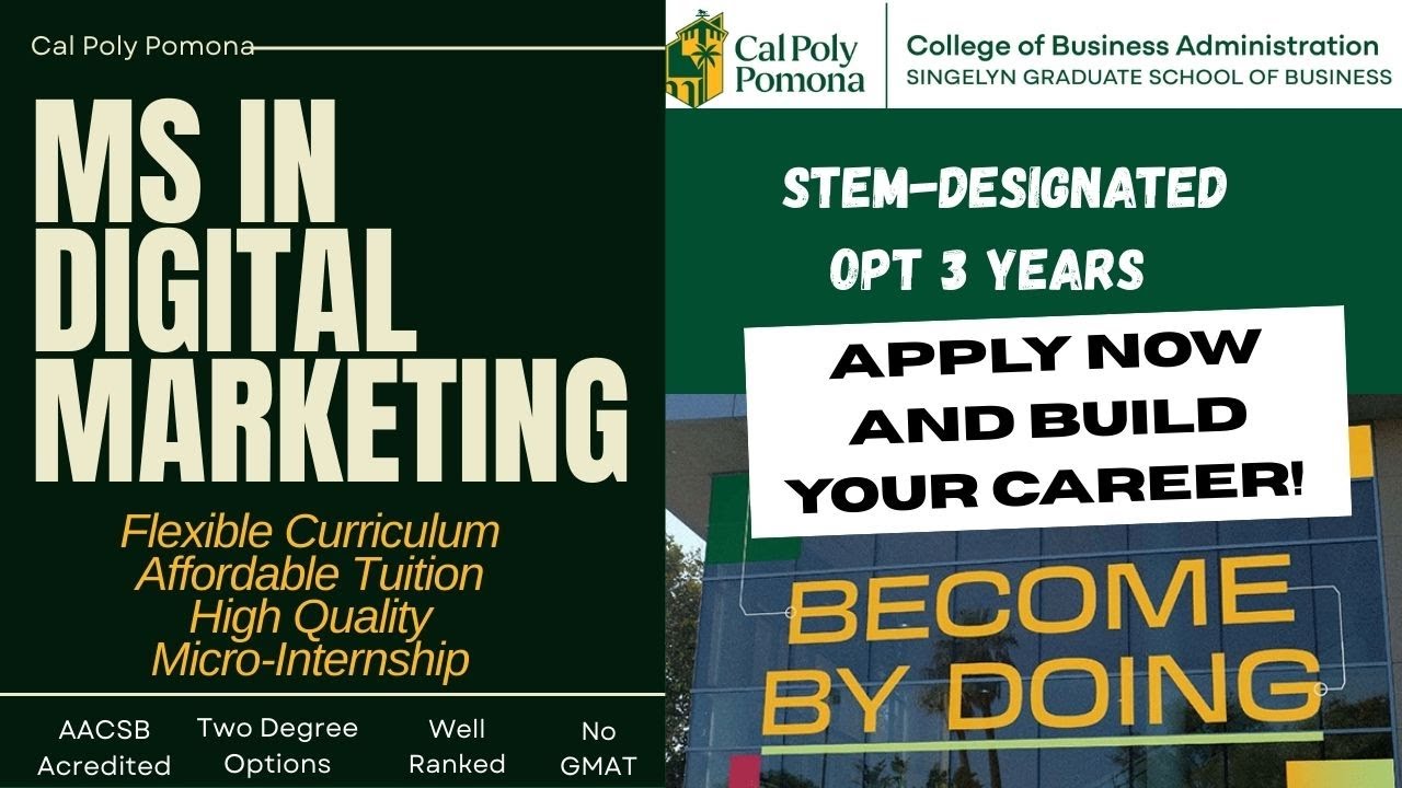 Digital Marketing Masters Degree: Everything You Need to Know Before Applying