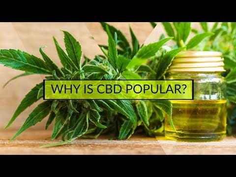 Why is CBD so popular? / Health Benefits of CBD