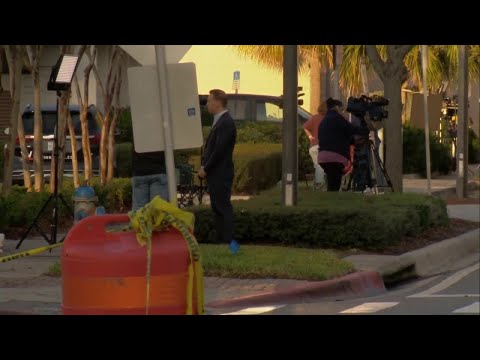TV news reporter, 9-year-old killed in Orlando shooting