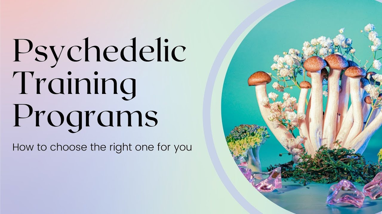 Psychedelic Therapy Training Programs: How to Choose the Right One