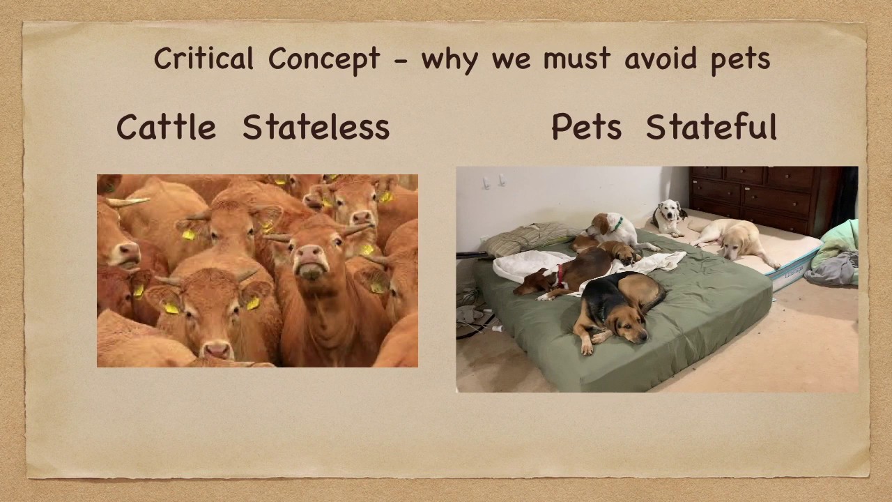 Cloud Computing Pets Vs Cattle