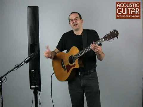 Fishman Soloamp SL1 SA220 (with rolling travel bag and stand) | Reverb