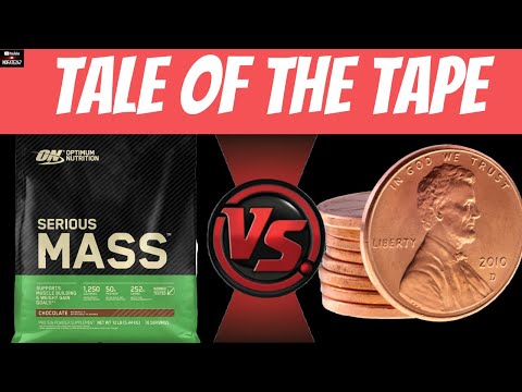 Get Big on the Cheap | Optimum Nutrition Serious MASS Review | Supplement Review