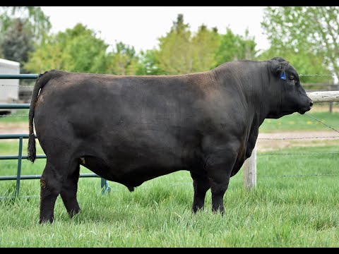 0200AN10758 RAVEN STEP UP F447
