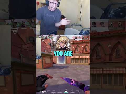 There was a secret riot dev in my game...