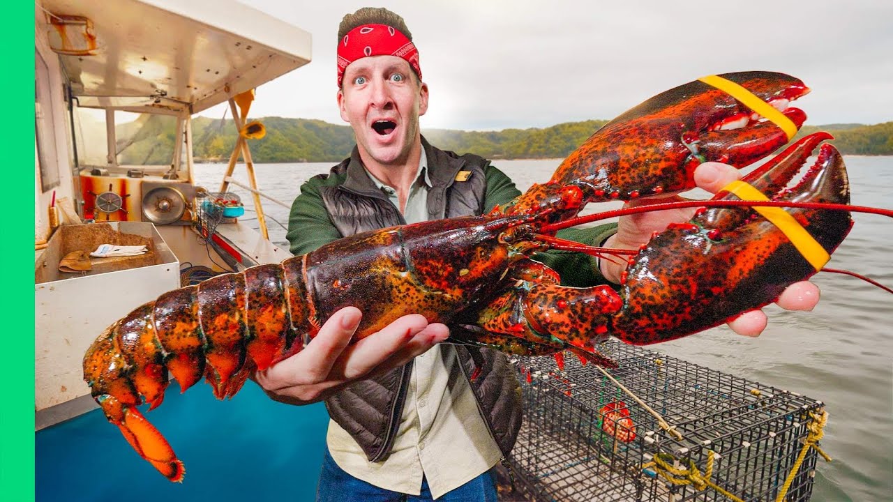 How Lobstermen Trap Giant Lobsters in Maine!!