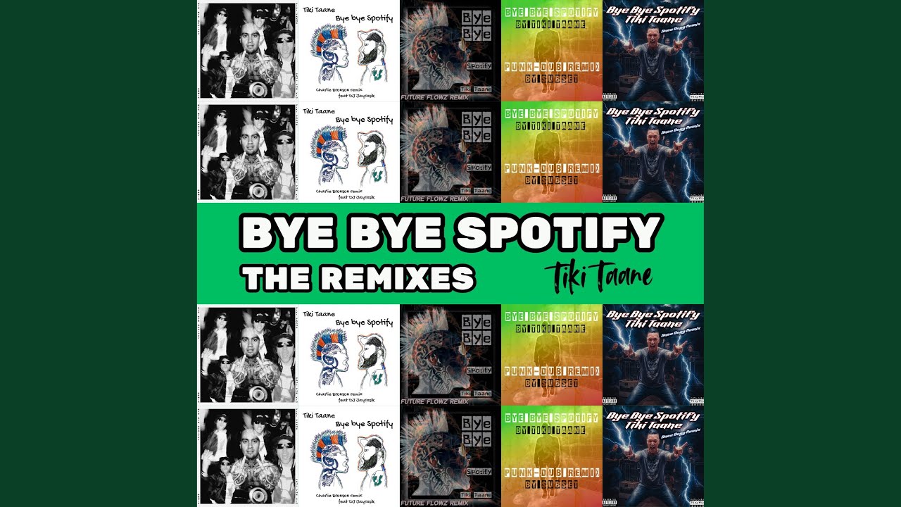 Bye Bye Spotify (Subset's Punk-Dub Remix)