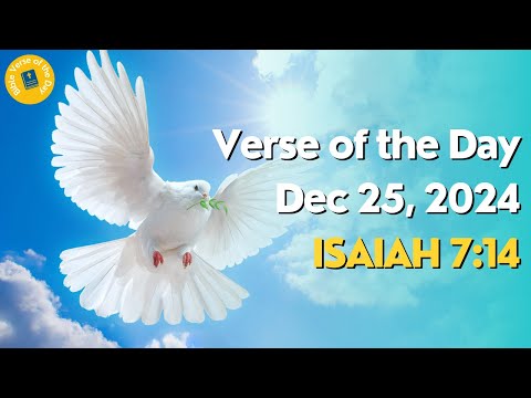 Verse of the Day - Dec 25, 2024 (Morning Prayer)