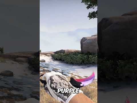 The Best Karambit Fade..
