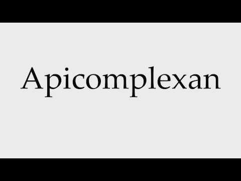 How to Pronounce Apicomplexan