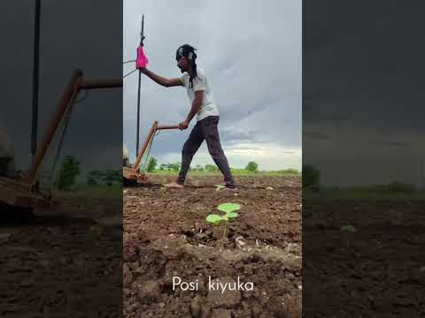 kasta padsi kam tungsi Sere piyuka Gondi song #gondipata