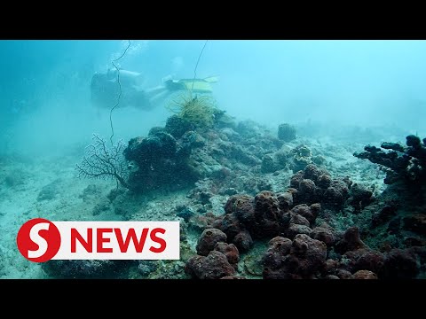 Govt, volunteer divers join hands for underwater clean-up off KK waters