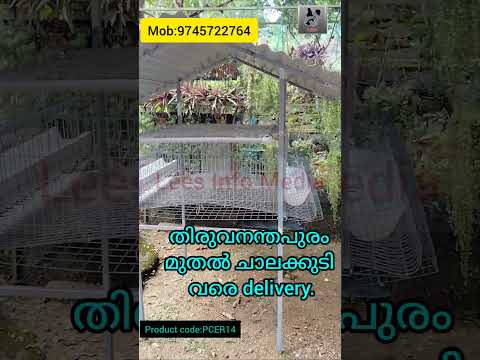 14കോഴിക്കുള്ള Hitech കൂടും Bv380 കോഴിയും#poultry #hitech