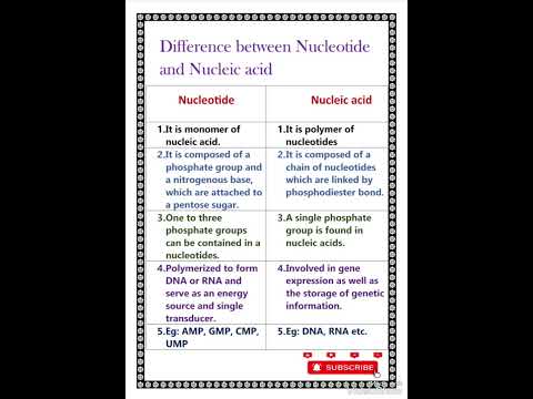 Difference between Nucleotide and Nucleic acid