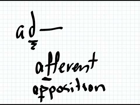 Acr-, Acu-, Ad-, and Haema- as Medical Roots