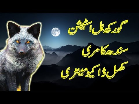 Gorakh Hill Station a beautiful range of Kheer Thar Mountain Urdu