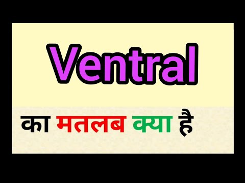 Ventral meaning in hindi || ventral ka matlab kya hota hai || word meaning english to hindi