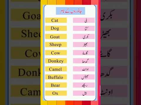 English Urdu Vocabulary "Names of Animals" #english #vocabulary #spokenenglish