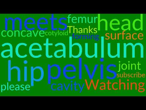 Acetabulum information