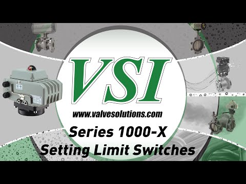 Series 1000 X Limit Switches
