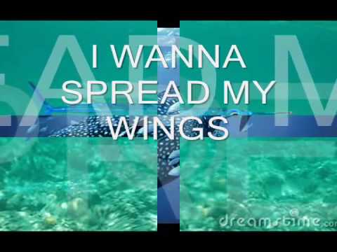 OCEAN DEEP by CLIFF RICHARD WITH LYRICS