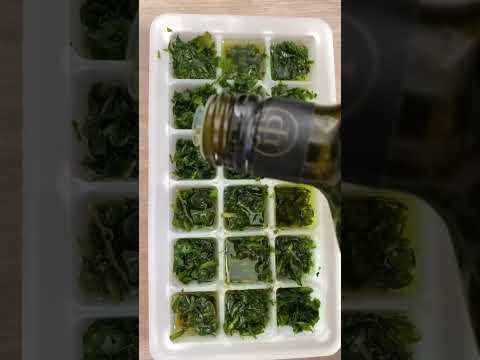3 ways to preserve basil + regrow for more #gardening101 #learning