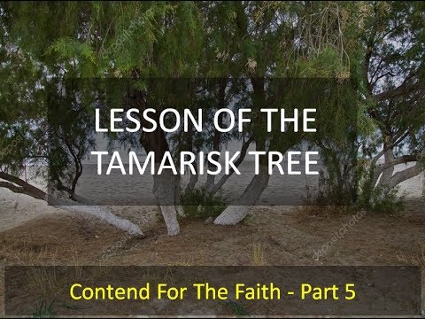 Lesson of the Tamarisk Tree - Contend for the Faith Part 5