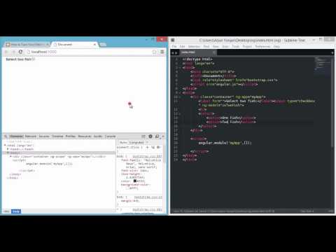 angularjs ng selected TwoFish 720p