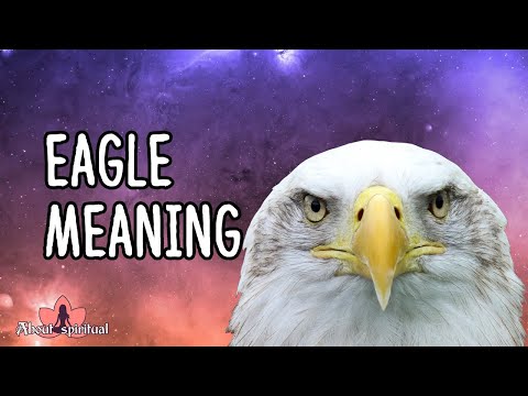 Eagle Meaning | Bald Eagle Meaning Spiritual