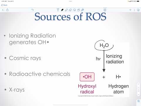ROS sources and formation