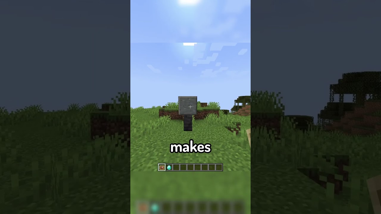 Mini Mod Reviews - Toggle Item Frames