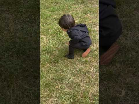 Stitches by Shawn Mendes #shorts #acting #stitches #song #music