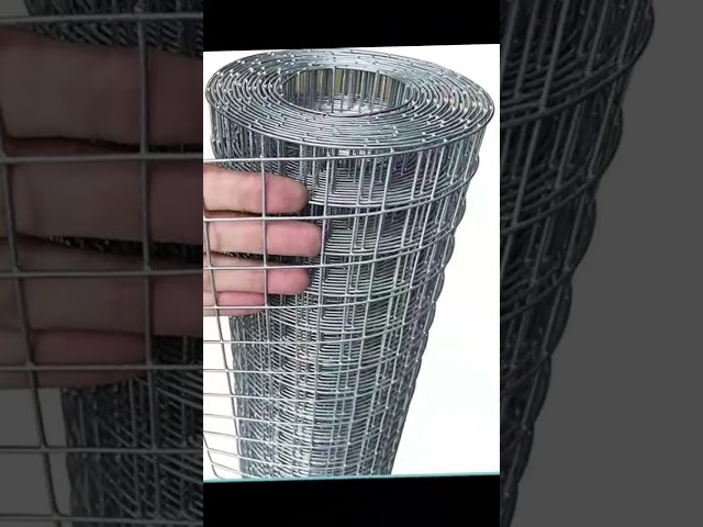 Welded Wire Mesh - 2.03mm Welded Wire Mesh Manufacturer from New Delhi