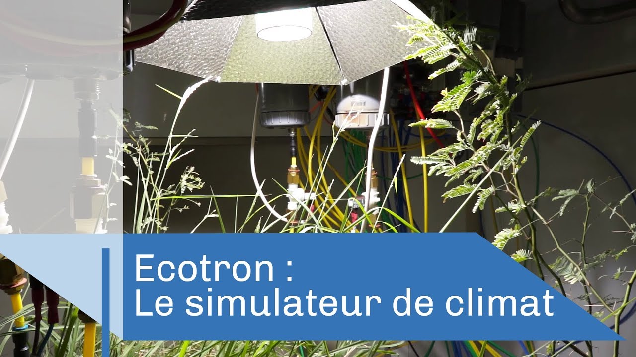 Documentaire | Ecotron : le simulateur de climat