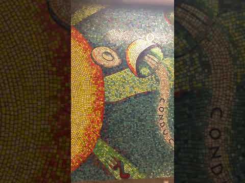 🎶 MTA NYC SUBWAY ART 🎶