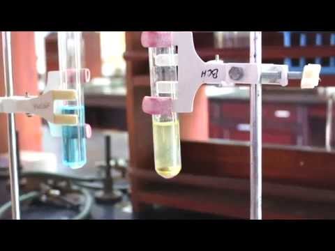 Reaction of Iron Nails with Copper Sulphate Solution in Water (Chemical ...
