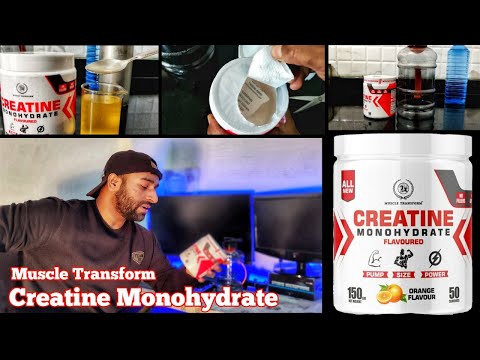 Retail Shop of Creatine Supplement & Protein Powder by ACE SUPPLEMENTS, Dadri