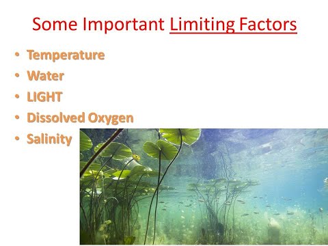 Aquatic Ecology - Limiting Factors-II
