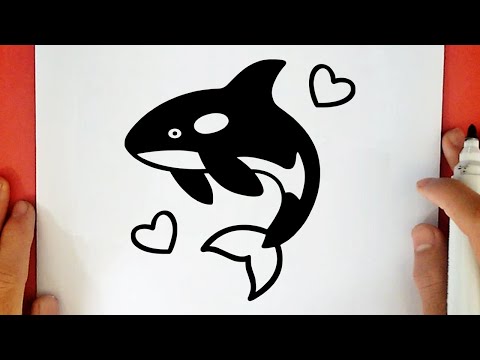 HOW TO DRAW A KILLER WHALE (ORCA)
