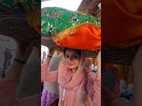 Ajmer Sharif Dargah Ziyarat 🤲🏻❤️ | #ajmer #dargah #rajasthan #shorts #short