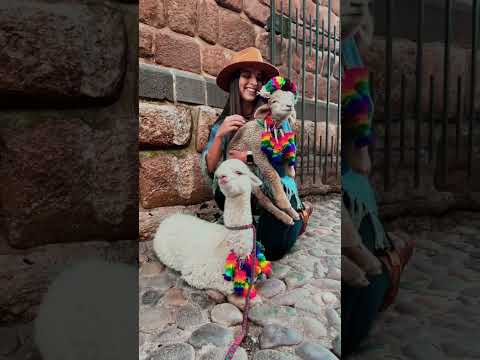 Cute baby llamas and alpacas in Cusco.🦙 @natiarayacr #shorts #peru #cusco #travel