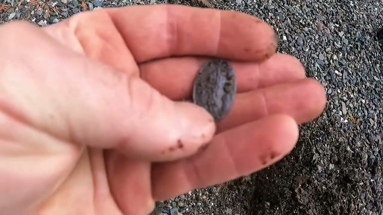 Finding an old boat pin on a beach