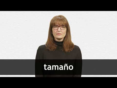 English Translation of “TAMAÑO” | Collins Spanish-English Dictionary