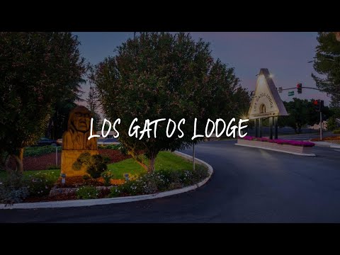 Los Gatos Lodge Review - Los Gatos , United States of America