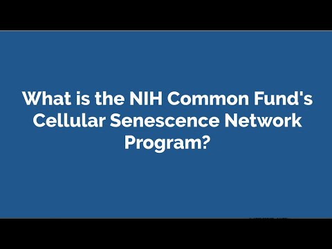 NIH Common Fund Cellular Senescence Network (SenNet) Program