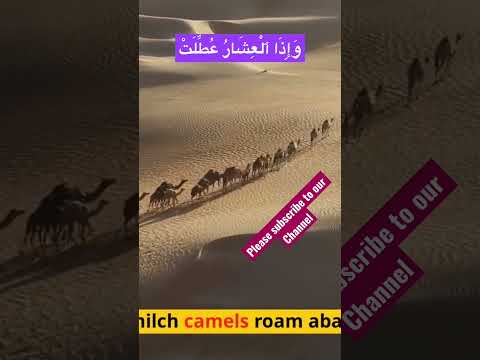 Surah At Takwir 1-7 | Surah At Takweer | Surah Takwir #surahtakwir #surahattakwir #viralquran