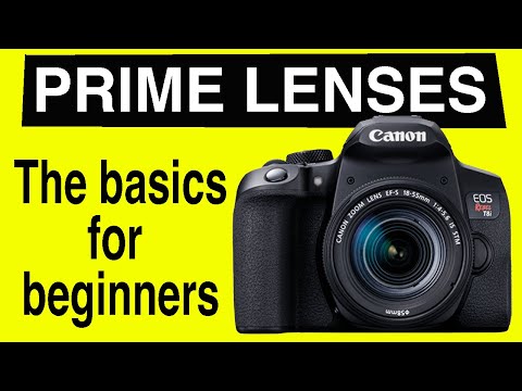 A beginner guide to Prime Vs Zoom lenses with PHOTO GENIUS