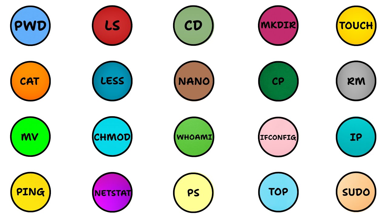 Every Basic Kali Linux Command Explained For Beginner Ethical Hackers